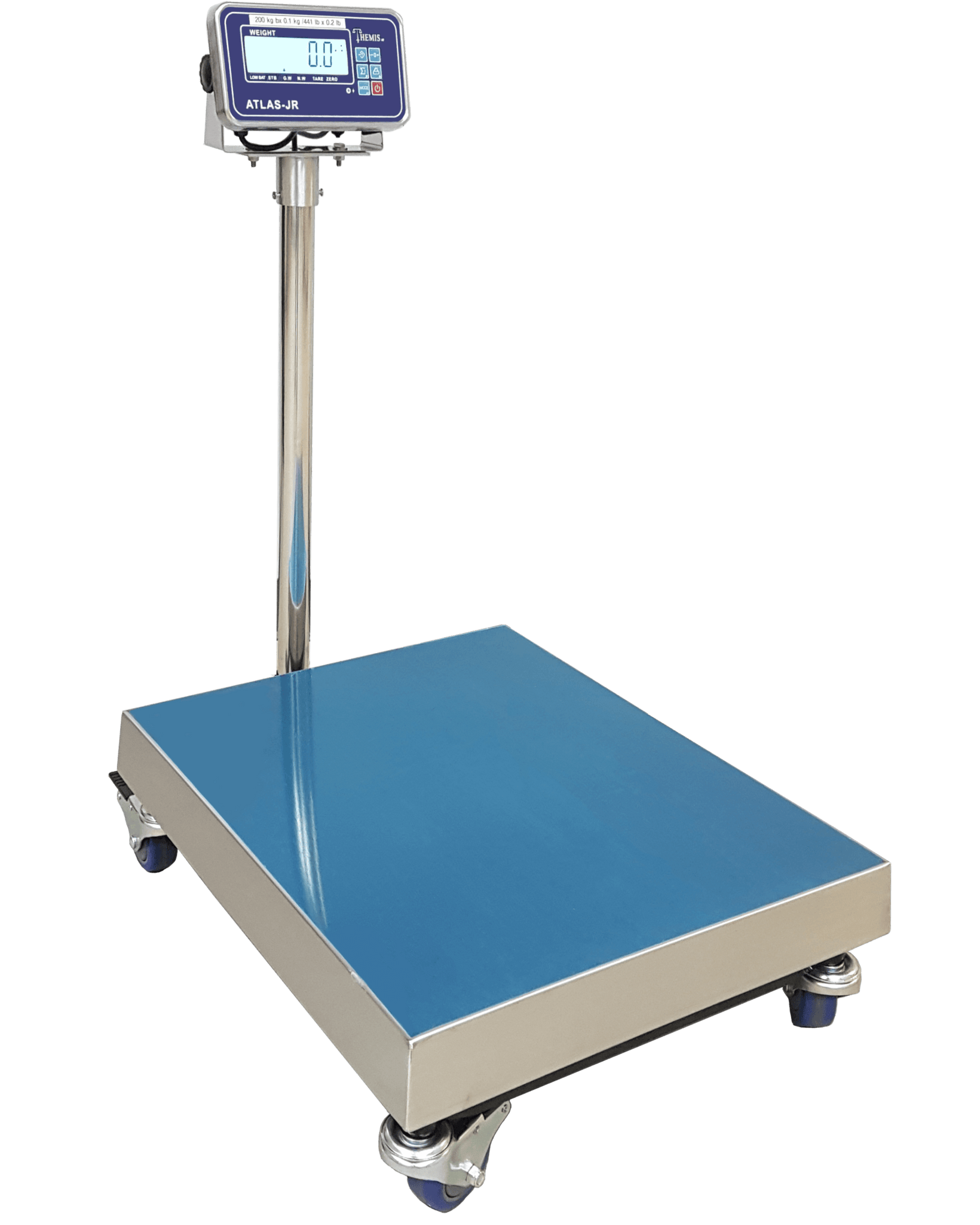 Valley Scales | Themis TM Series Mobile Bench Scales
