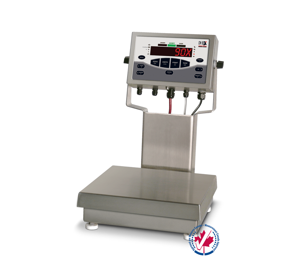 Valley Scales | Rice Lake Scales